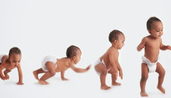 Baby Percentile Guide for Parents